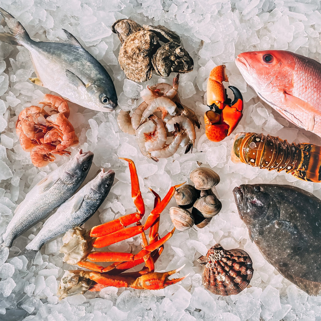 Fruits de mer | Exostar Paris