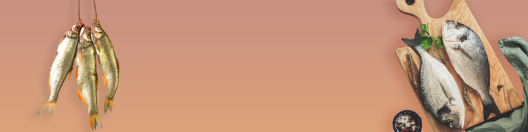 Exostar : Vos produits asiatiques surgelés | Exostar Paris