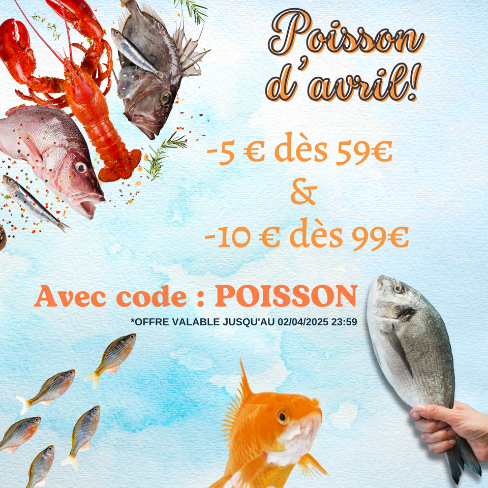 Exostar : Vos produits asiatiques surgelés | Exostar Paris